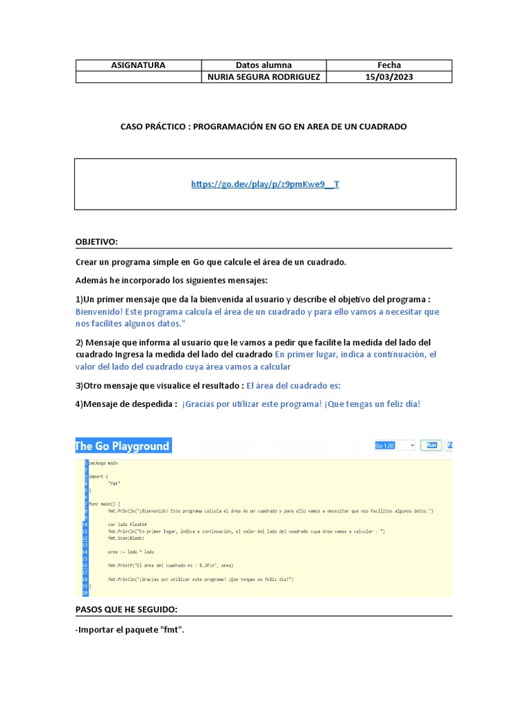 Programa Go - Área - Cuadrado - Nuria Segura - Go | PDF