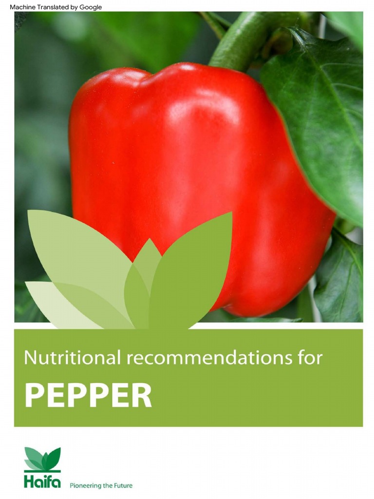 Pepper 0 | PDF