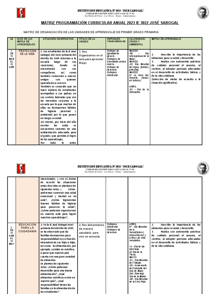 Matriz de Programación Curridular Anual 2023 Modelo Propuesto para Primaria Ok | PDF