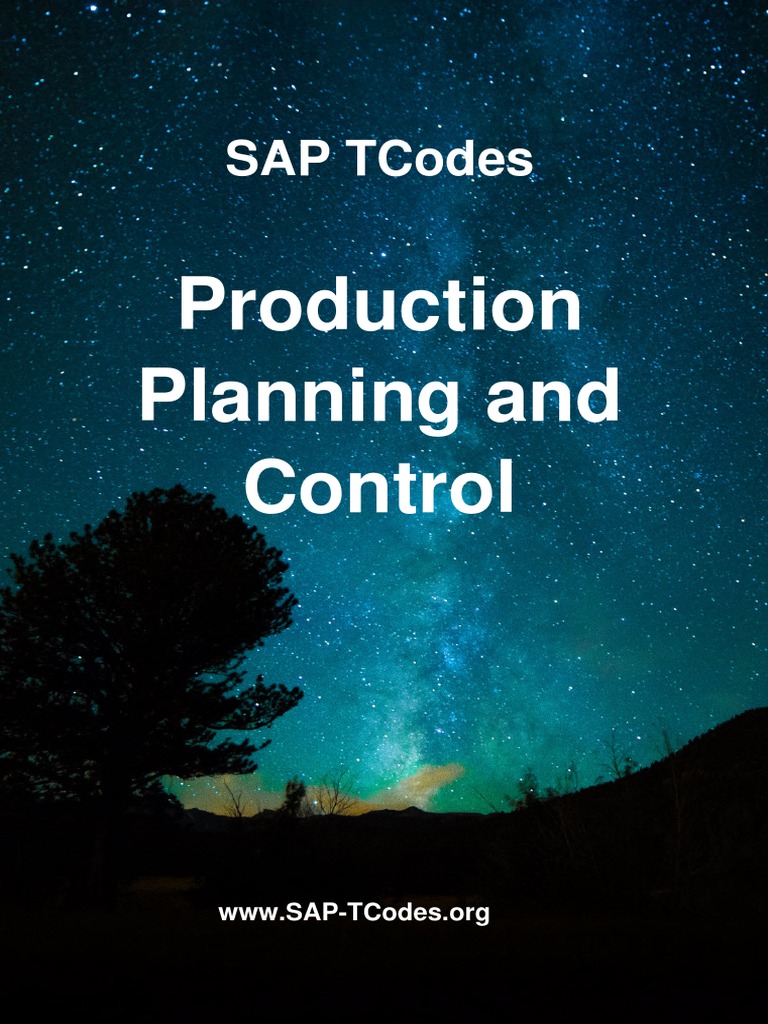 Sap Tcodes Module Pp En Pdf Analytics Business