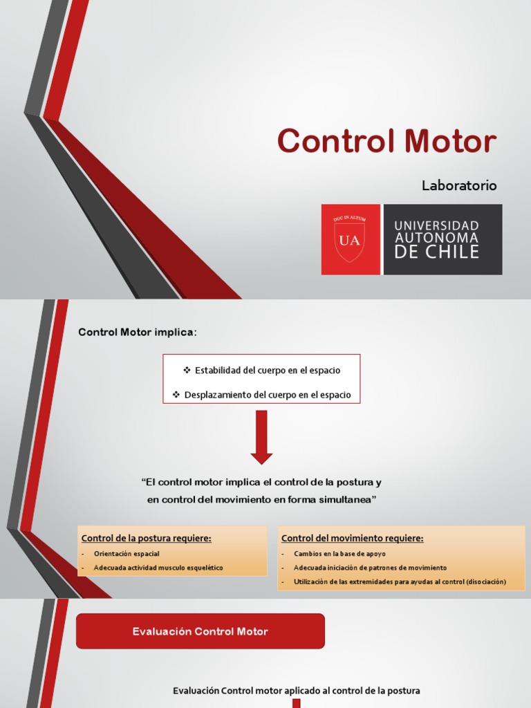 Laboratorio Control Motor | PDF | Neurociencia