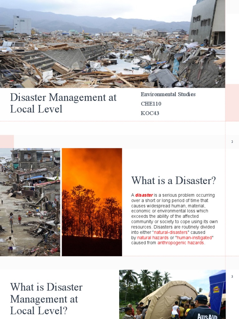 Local Disaster Management Guide | PDF | Emergency Management | Hazards