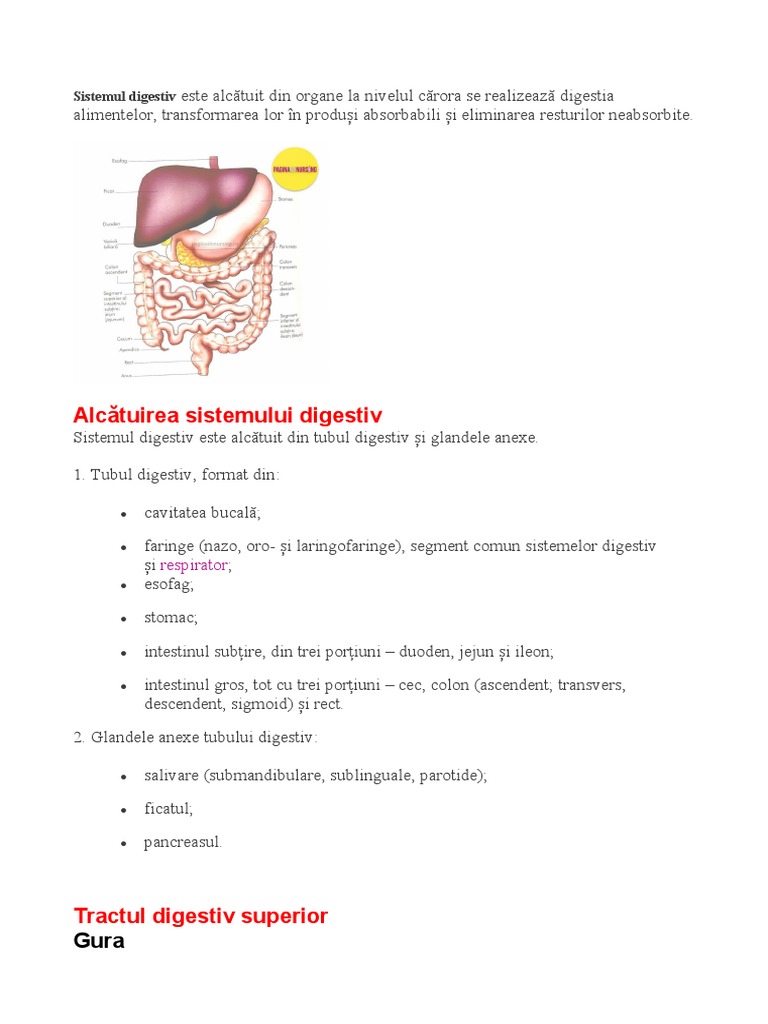 Sistemul Digesti1 | PDF