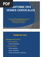 Anatomie de la veine jugulaire interne | PDF | Cou | Anatomie humaine