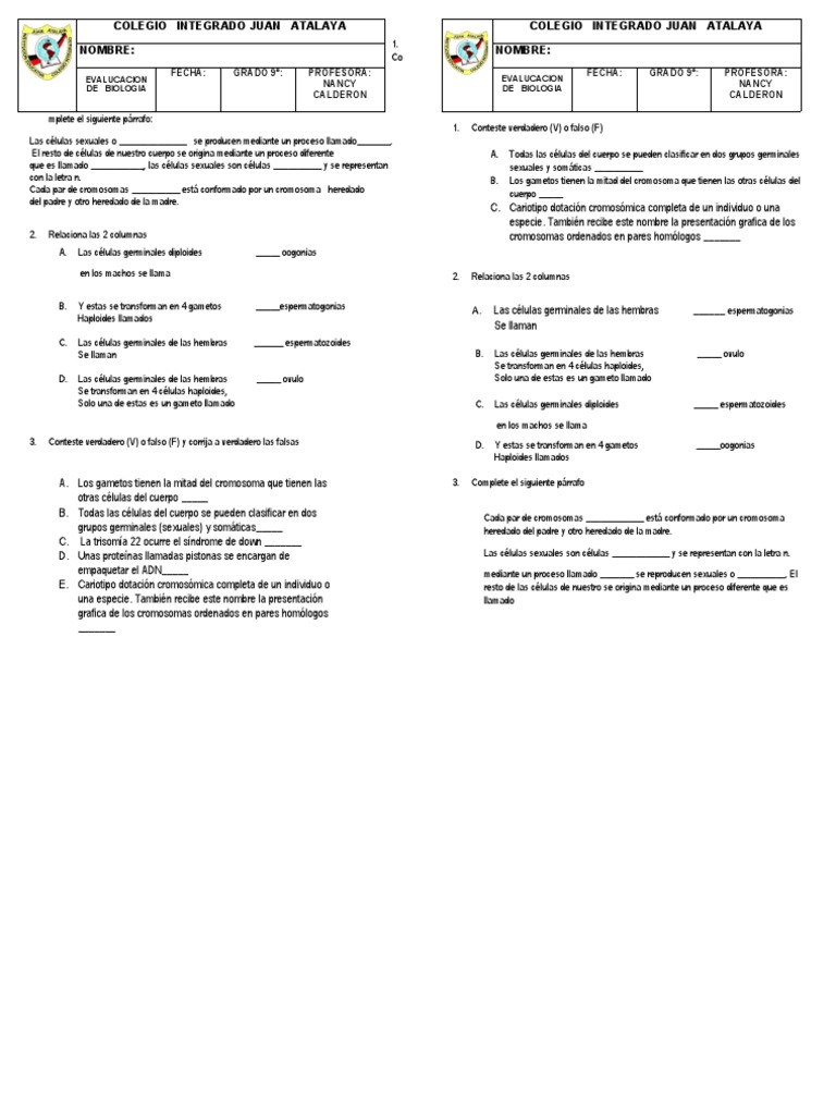 Eva. Biologia 9° | PDF | Ploidía | Hembra