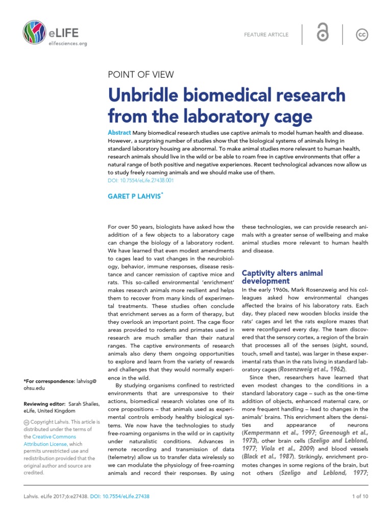 Unbridle Biomedical Research | PDF | Foraging | Brain