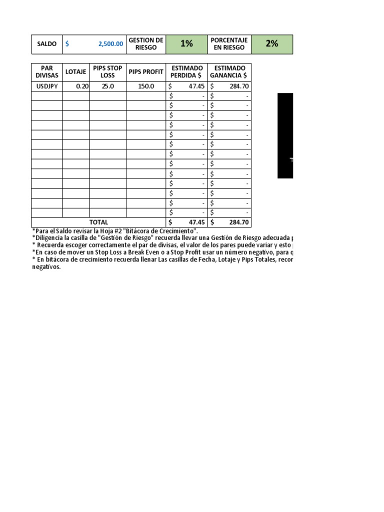 Plantilla de Gestion TPC Final | PDF