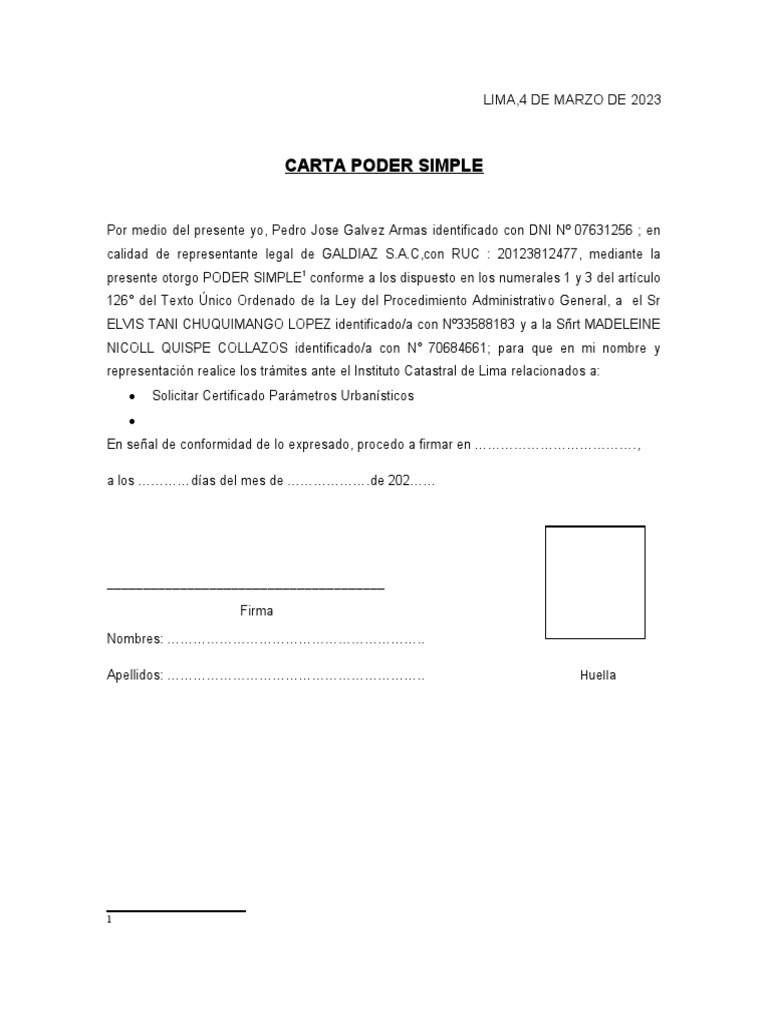 Carta Poder Simple | PDF