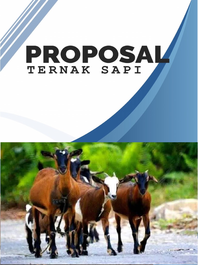 Proposal Ternak Sapi SUMBER MAJU | PDF