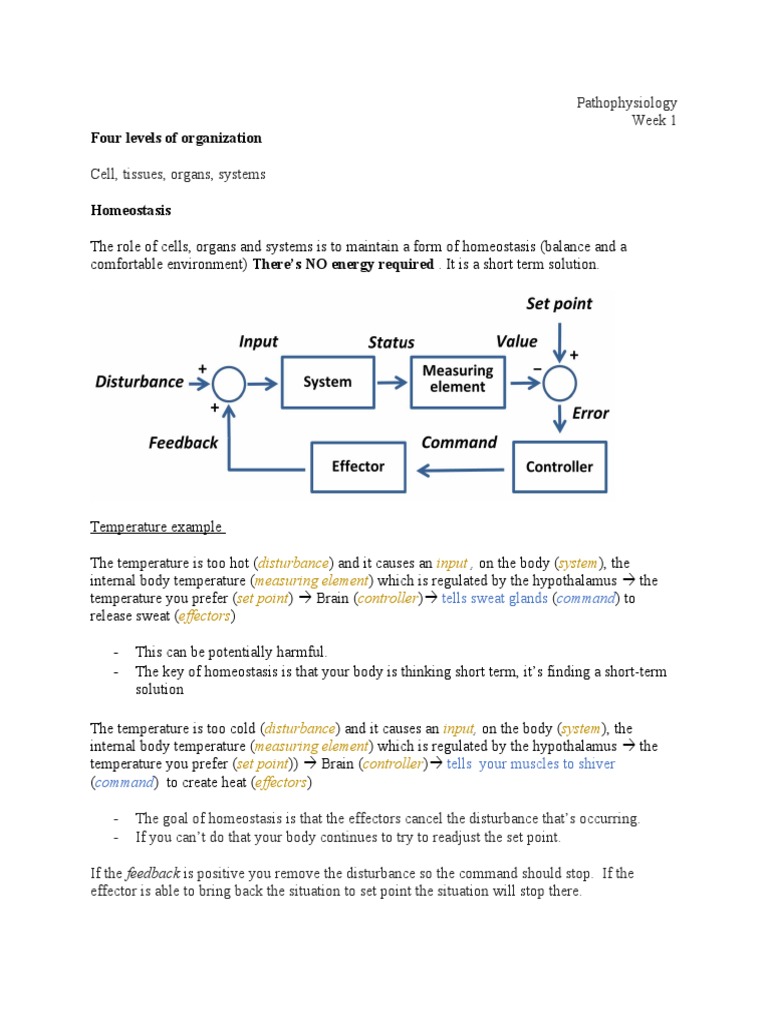 Lecture 1 - Cellular Environment | Download Free PDF | Cell Signaling ...