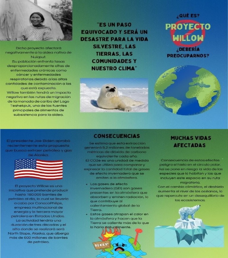 Tríptico Proyecto Willow | PDF