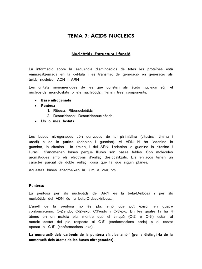 Àcids Nucleics | PDF