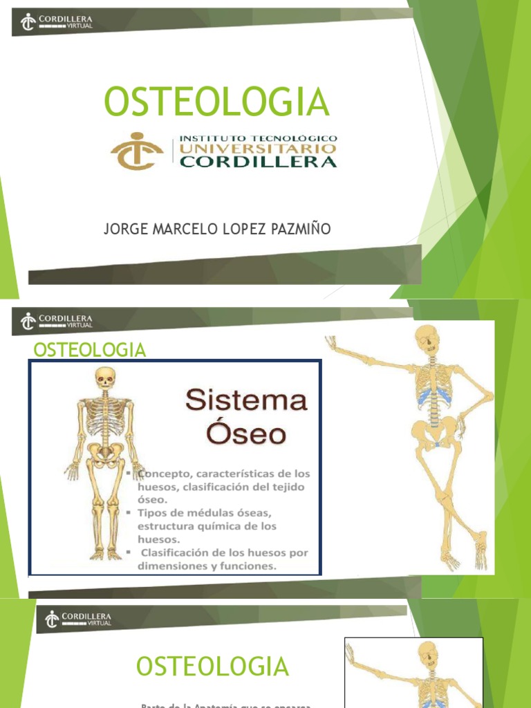 Osteologia Unidad 1 | PDF | Esqueleto | Hueso