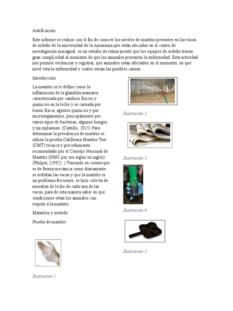 Informe de Mastitis y Tuberculosis | PDF | Leche | Epidemiología
