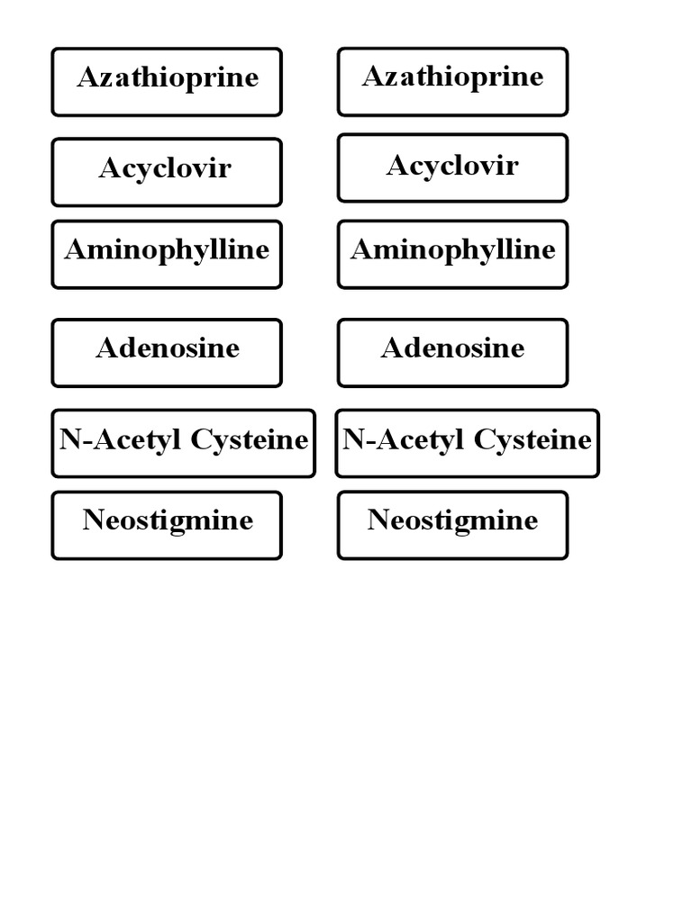 Comprehensive List of Medications | PDF