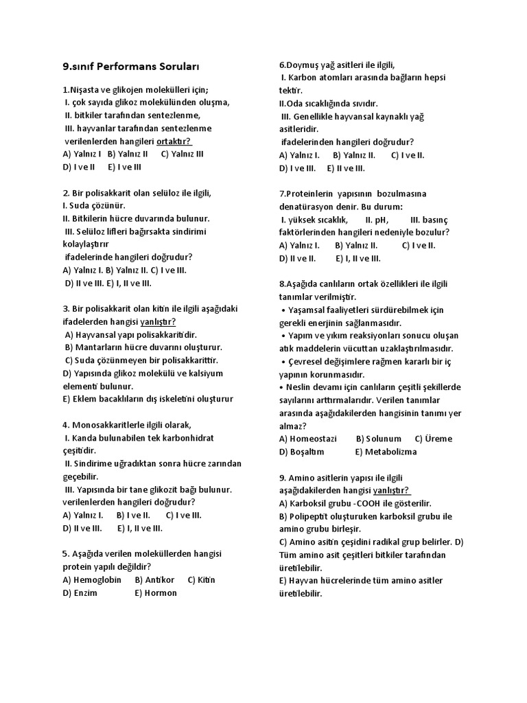 9.sınıf Performans Soruları | PDF