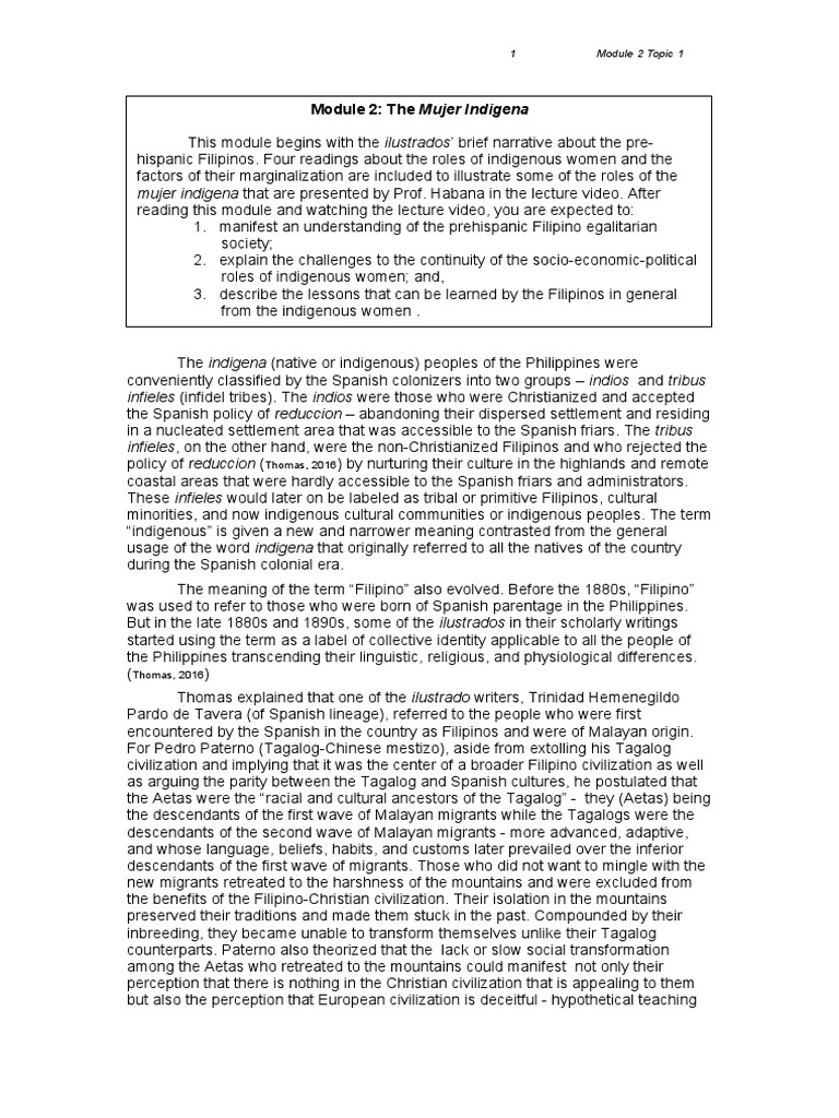 Module 2 Topic 1 - The Mujer Indigena | PDF | Agriculture | Rice