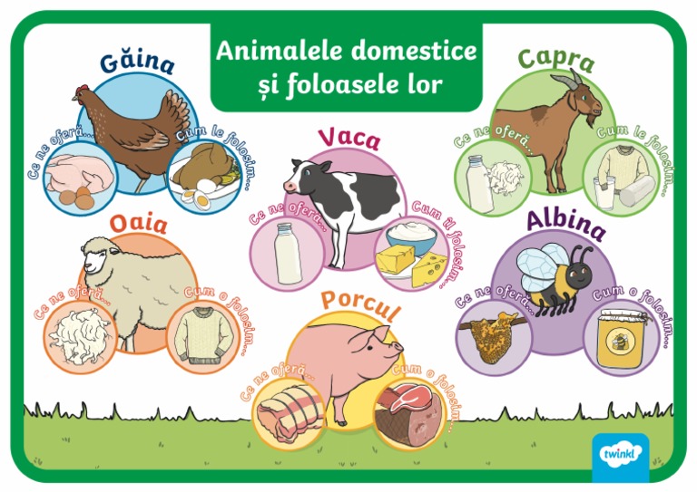 -animalele-domestice-si-foloasele-lor-plansa_ver_1 | PDF