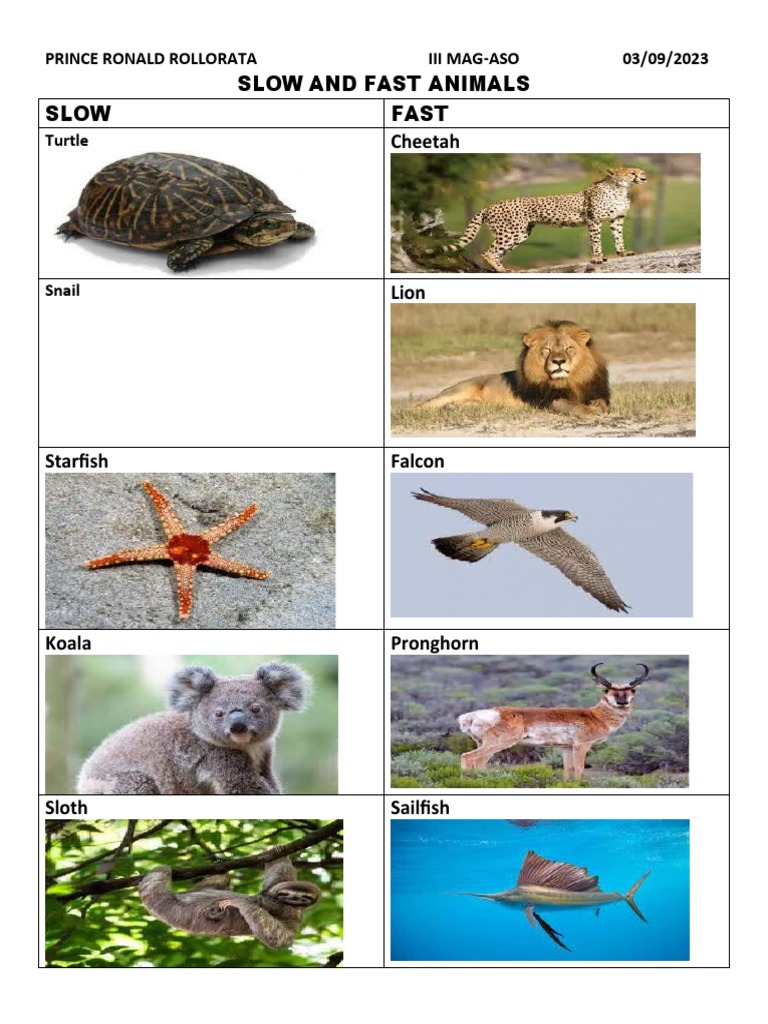 Slow vs Fast Animals Comparison | PDF