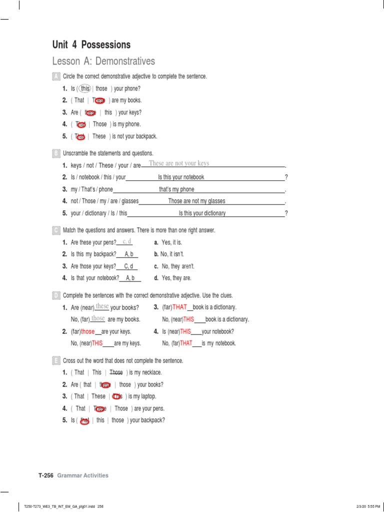 World English 3e Level Intro Grammar Activities Unit 4 Lesson A | PDF | Linguistic Typology ...