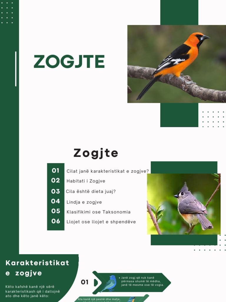 Zogjte | PDF