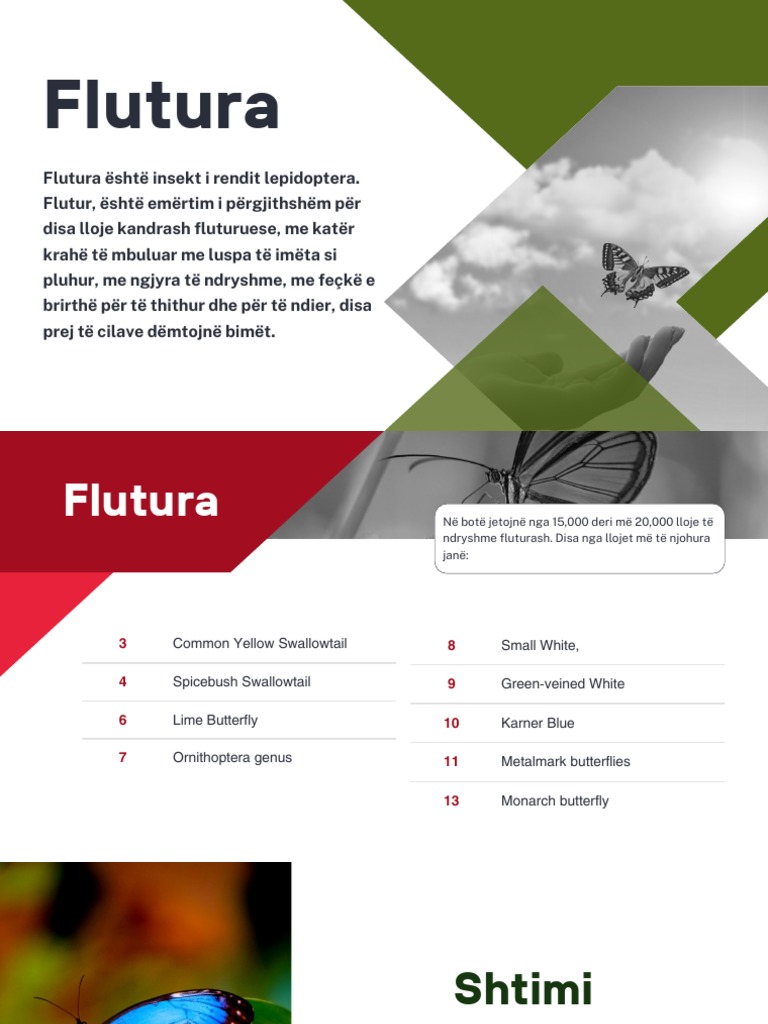 Flutura | PDF