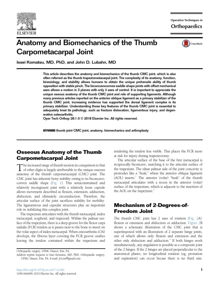 Anatomy and Biomechanics of The Thumb | PDF | Thumb | Anatomical Terms ...