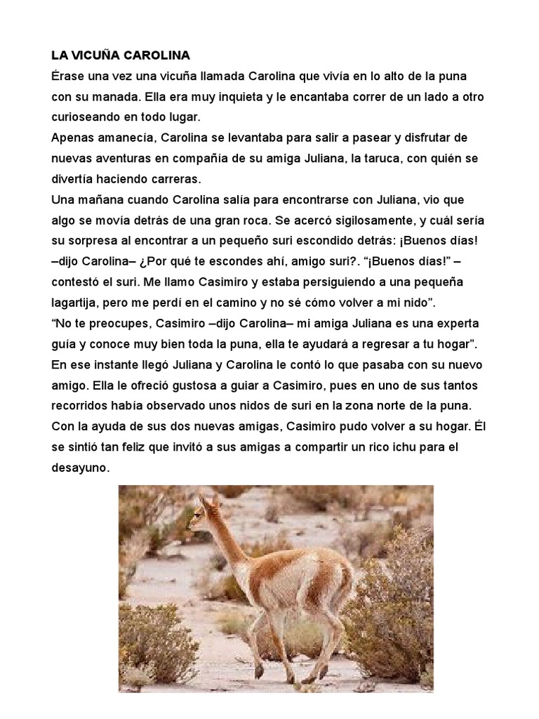 La Vicuña Carolina | PDF