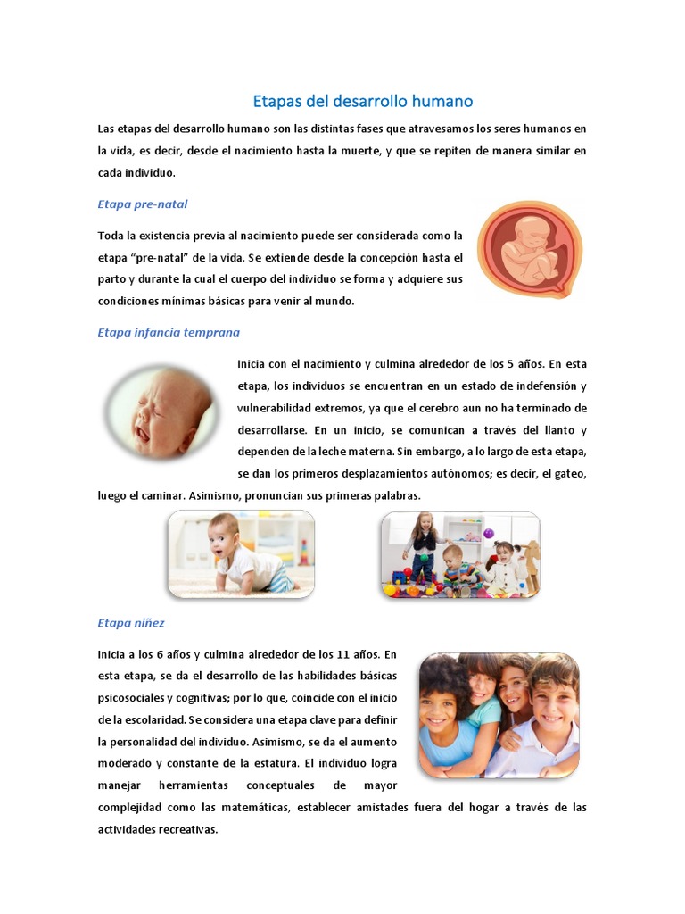 Etapas Del Desarrollo Humano | PDF | Adultos | Sicología