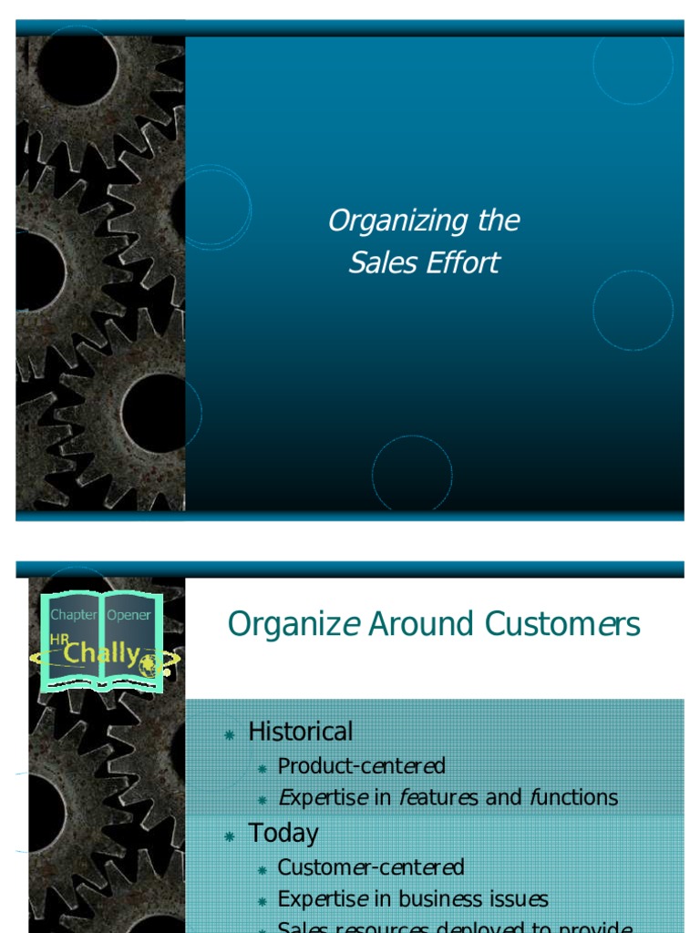 Organizing The Sales Effort | PDF | Sales | Division Of Labour