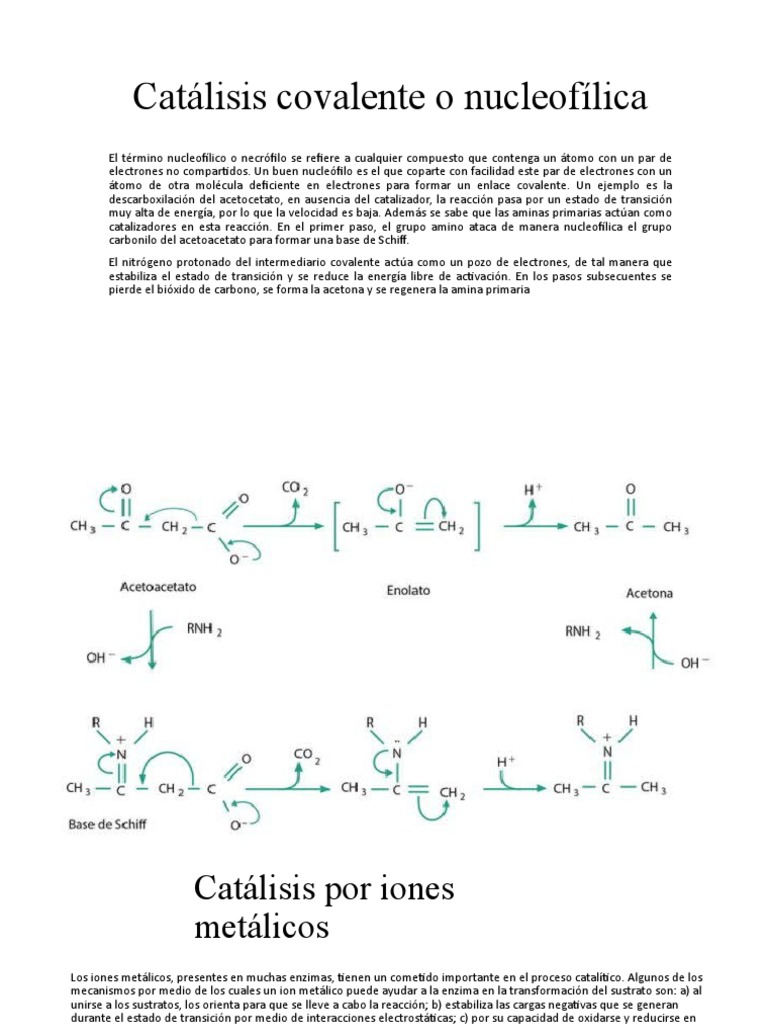 Catálisis | Descargar gratis PDF | Catálisis | Enzima