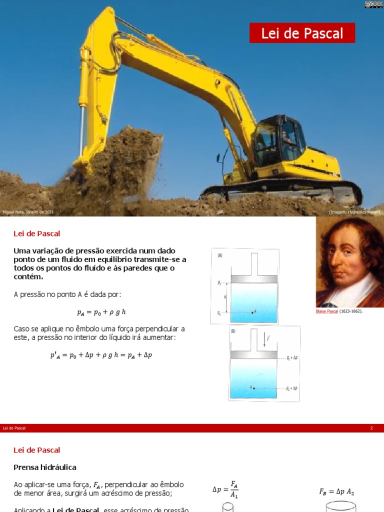 12ano F Lei de Pascal | PDF