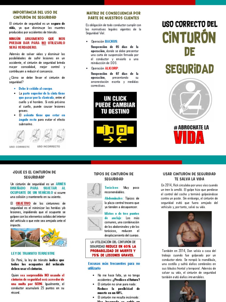 USO CORRECTO DEL CINTURÓN DE SEGURIDAD | PDF | Cinturón de seguridad ...