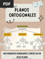 Perfiles Labiales | PDF