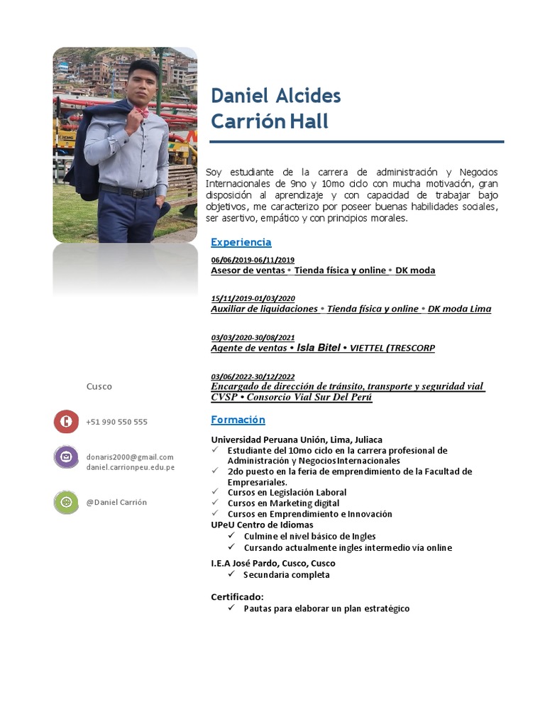 Perfil Profesional de Daniel Carrión | PDF | Business | Negocios económicos