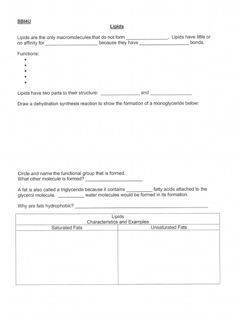 Day 05 - Lipids (Worksheet) | PDF