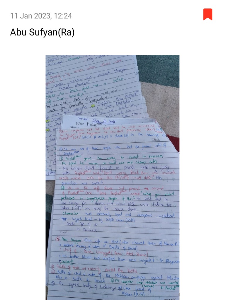 Abu Sufyan: Historical Overview | PDF