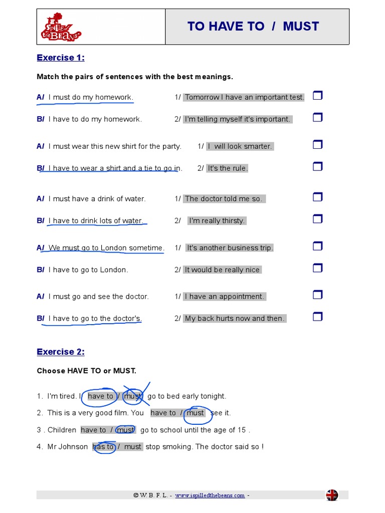 Exercises Have To and Must | PDF