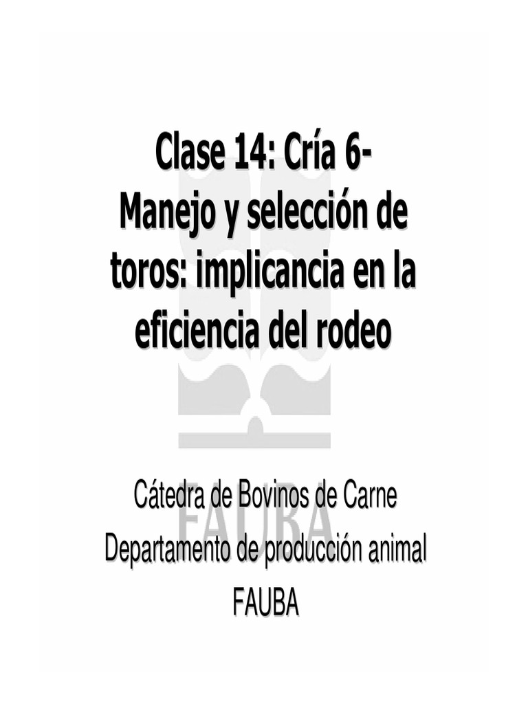 Clase 14 Cría 6 Manejo y Selección de Toros Implicancias en La ...