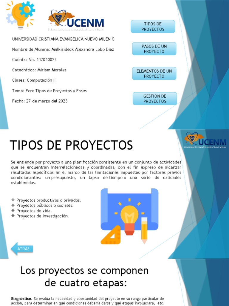 Foro Tipos de Proyectos | PDF | Presupuesto | Planificación