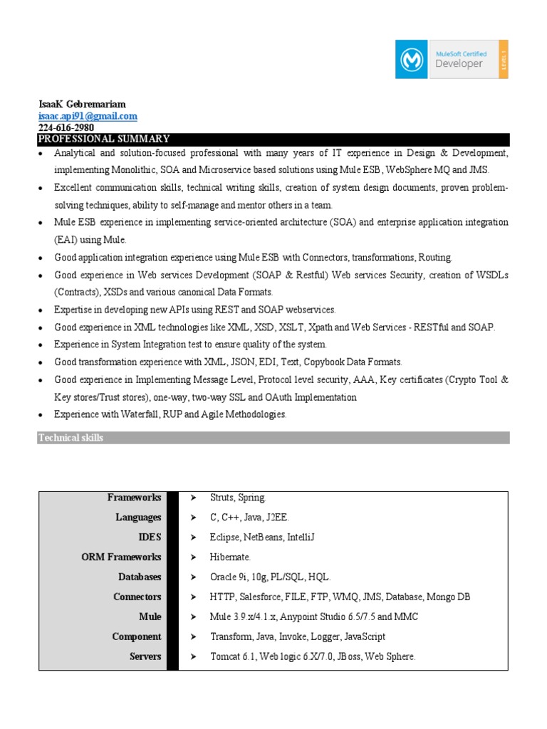 MuleSoft & IT Integration Expert Resume | PDF