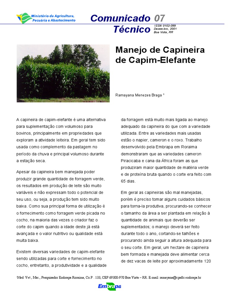 Manejo de Capineira Do Capim Elefante | PDF | Leite | Solo