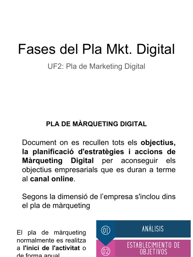 Pla de Marketing Digital | PDF