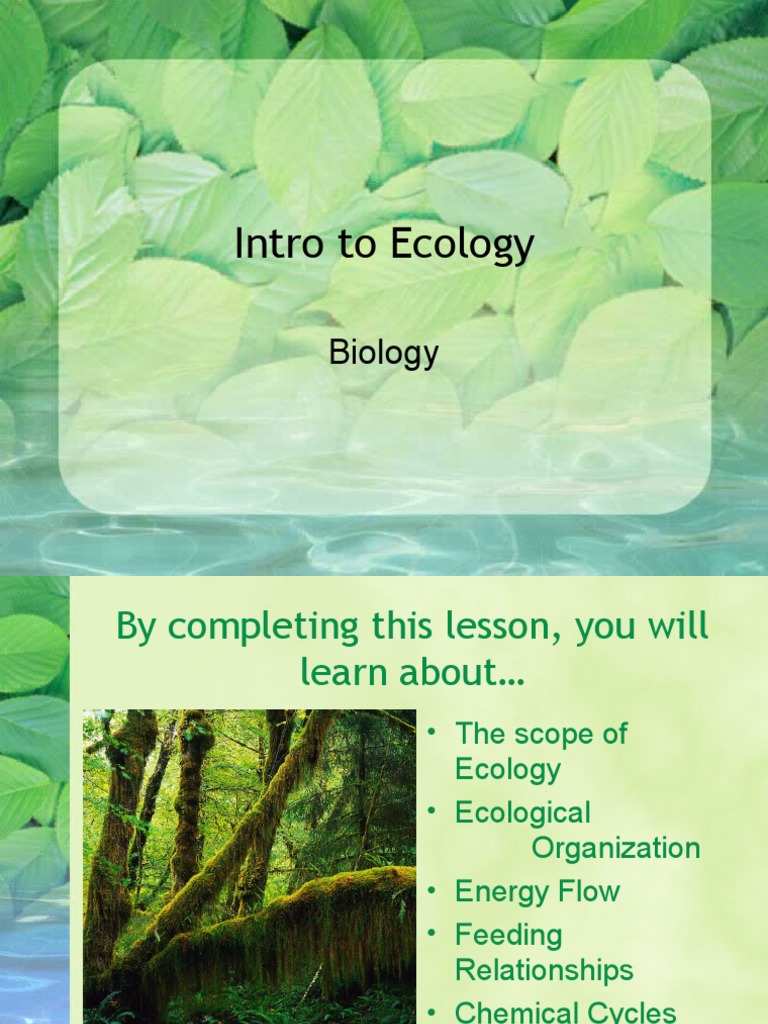 Intro To Ecology | PDF | Food Web | Ecology