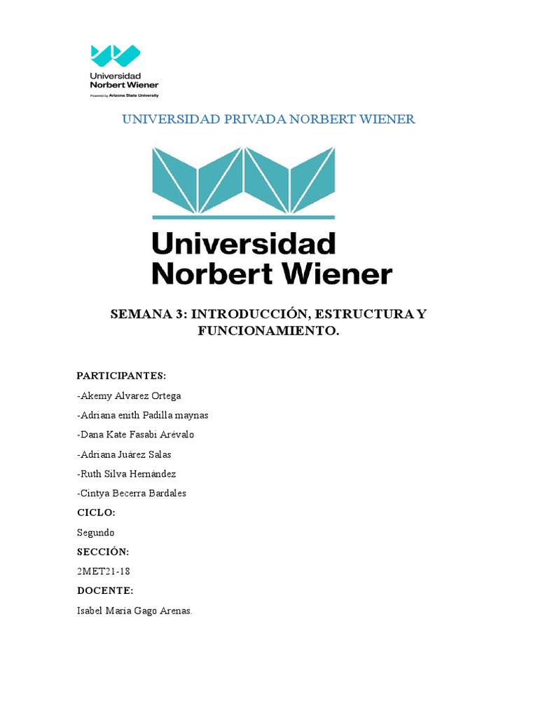 UNIVERSIDAD PRIVADA NORBERT WIENER - Docx Primera Parte | PDF