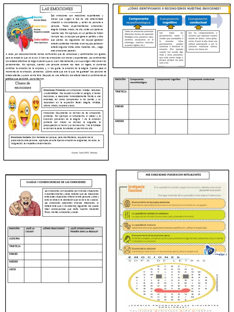 Ficha de Sesion Emociones | PDF | Las emociones | Temor