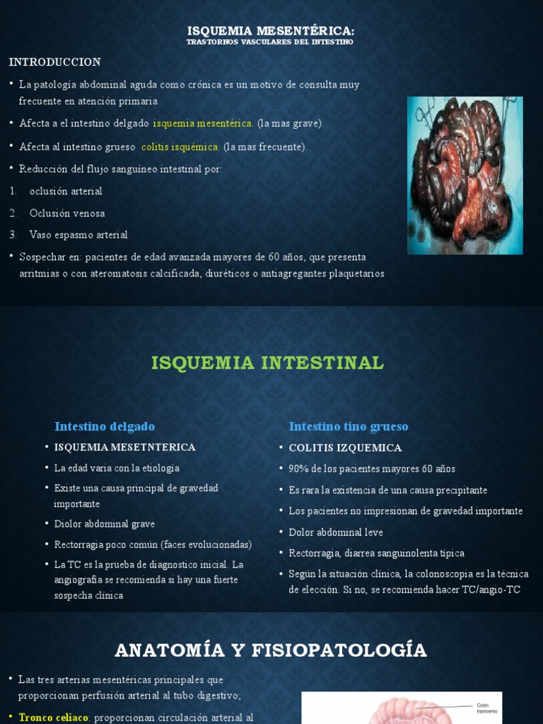 ISQUEMIA MESENTERICA 2 (Autoguardado) | PDF | Isquemia | Infarto de ...