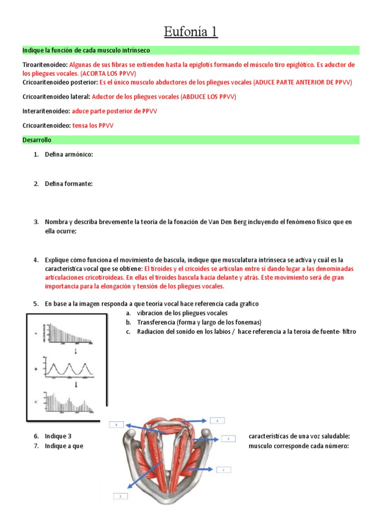 Eufonía 1 | PDF | Laringe | Producción de sonido