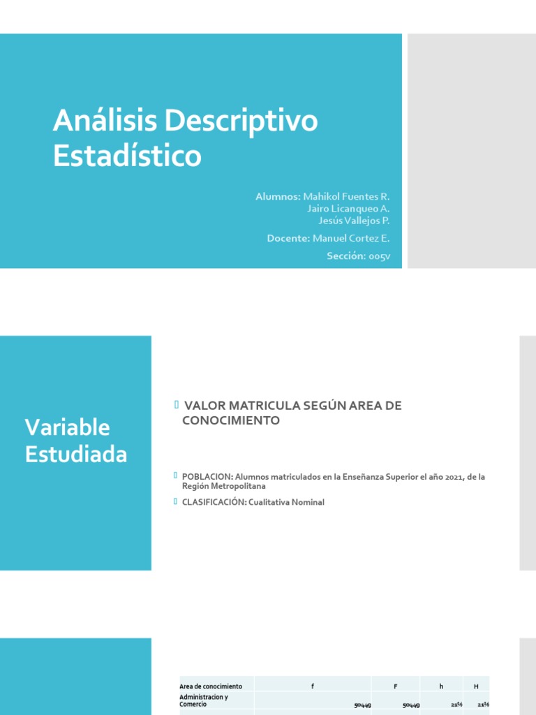 Análisis Descriptivo Estadístico | PDF