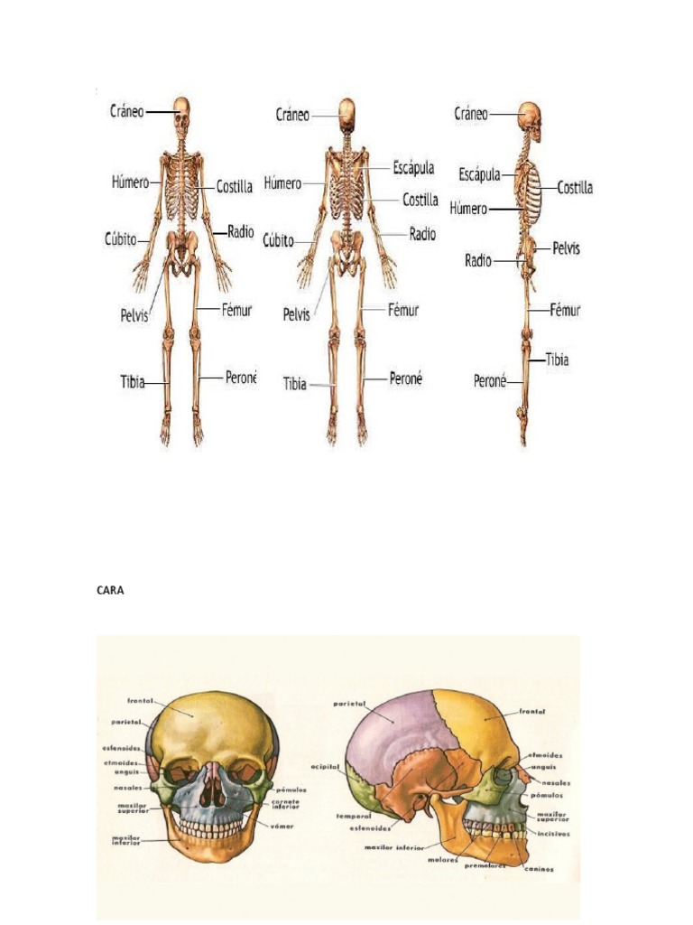 Dibujos de Los Sistemas | PDF